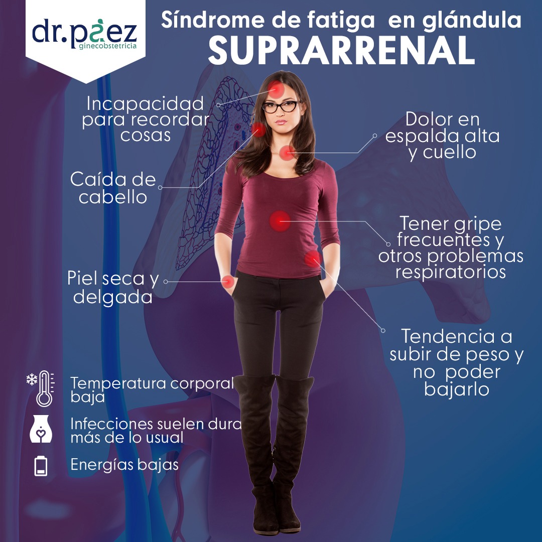 Fatiga adrenal o fatiga suprarrenal, hipoadrenia no addisoniana ...